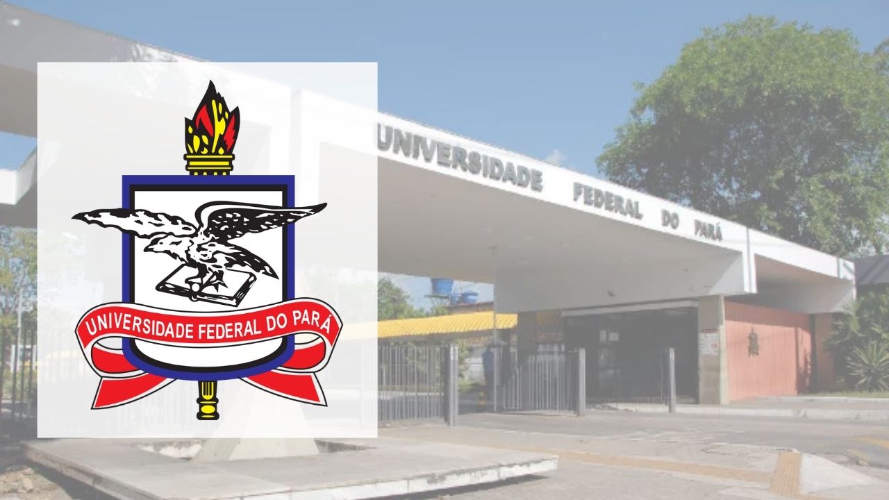 UFPA: 7 Concursos Públicos para professores efetivos abrem inscrições ...